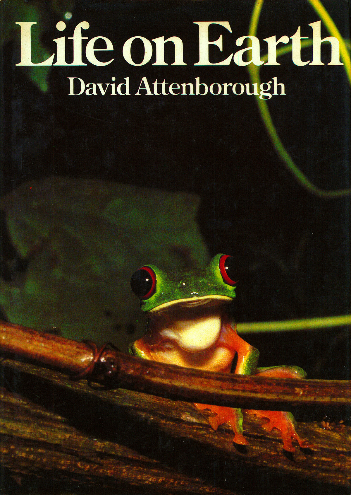 Life on Earth – HarperCollins Publishers