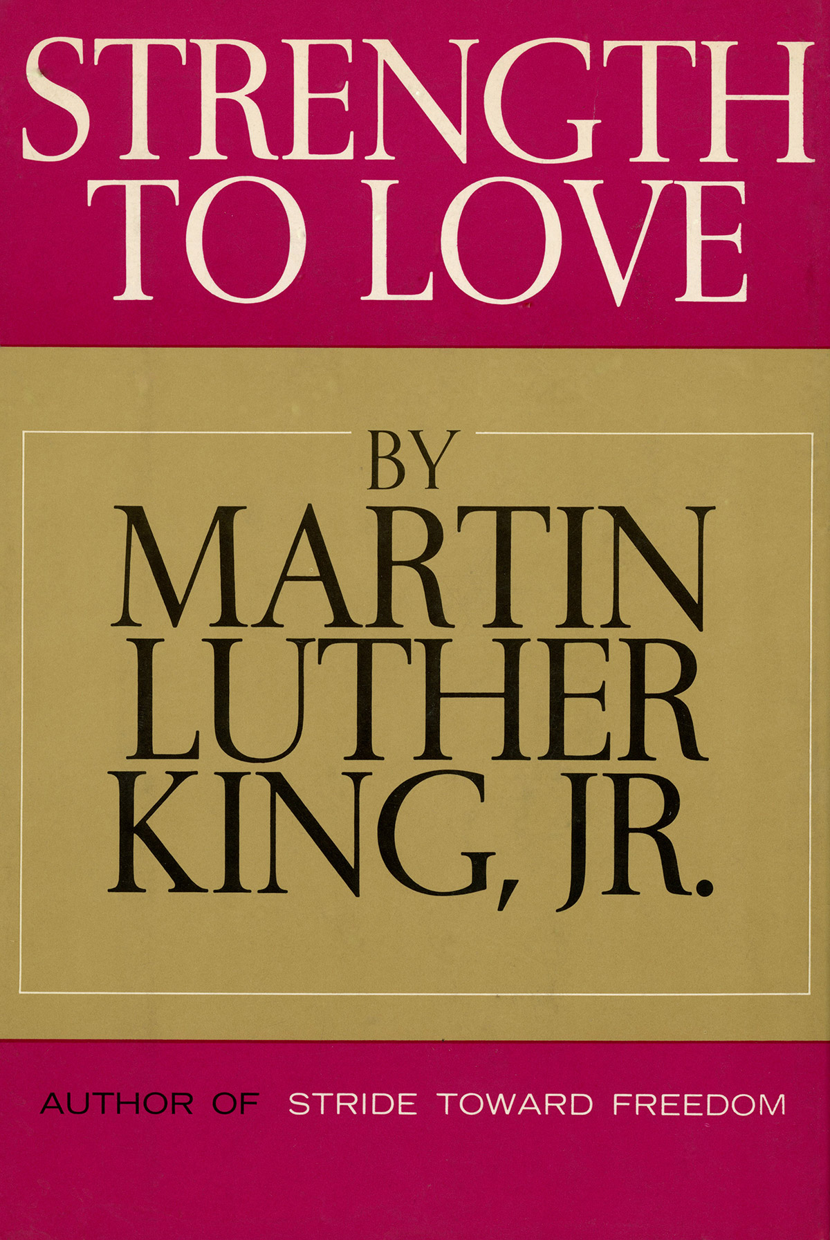 Martin Luther King Jr Stride Toward Freedom